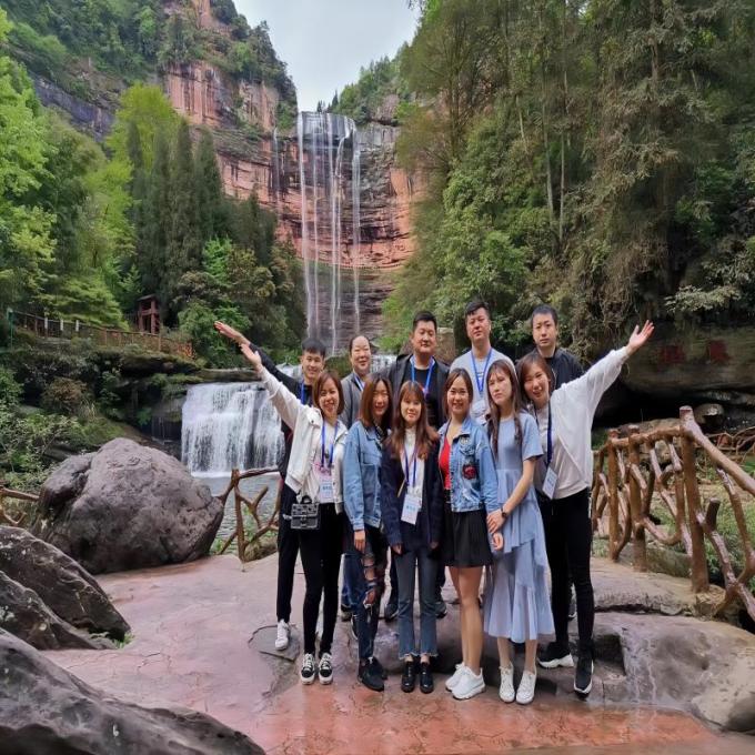 China Chongqing Dingrao Automobile Sales Service Co., Ltd. company profile